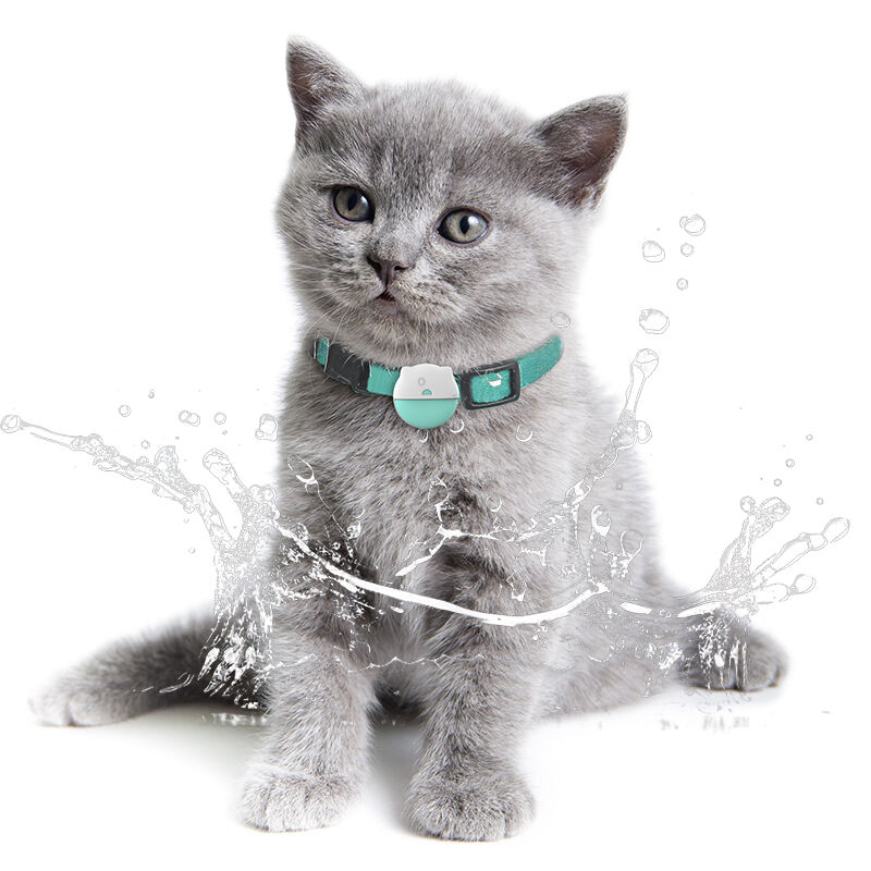 smallest gps tracking device for cats,Eview GPS Cat Tracker for Real Time GPS and Wi-Fi Tracking